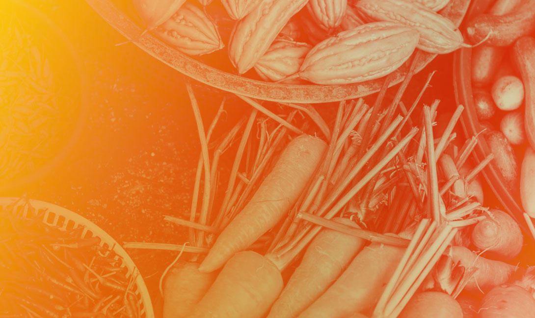 Caso de éxito: Mandao + SEO | Growketing